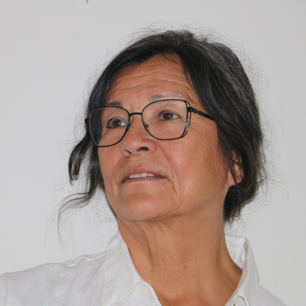 A perspective on using the term ‘Indigenization’ in career development ...