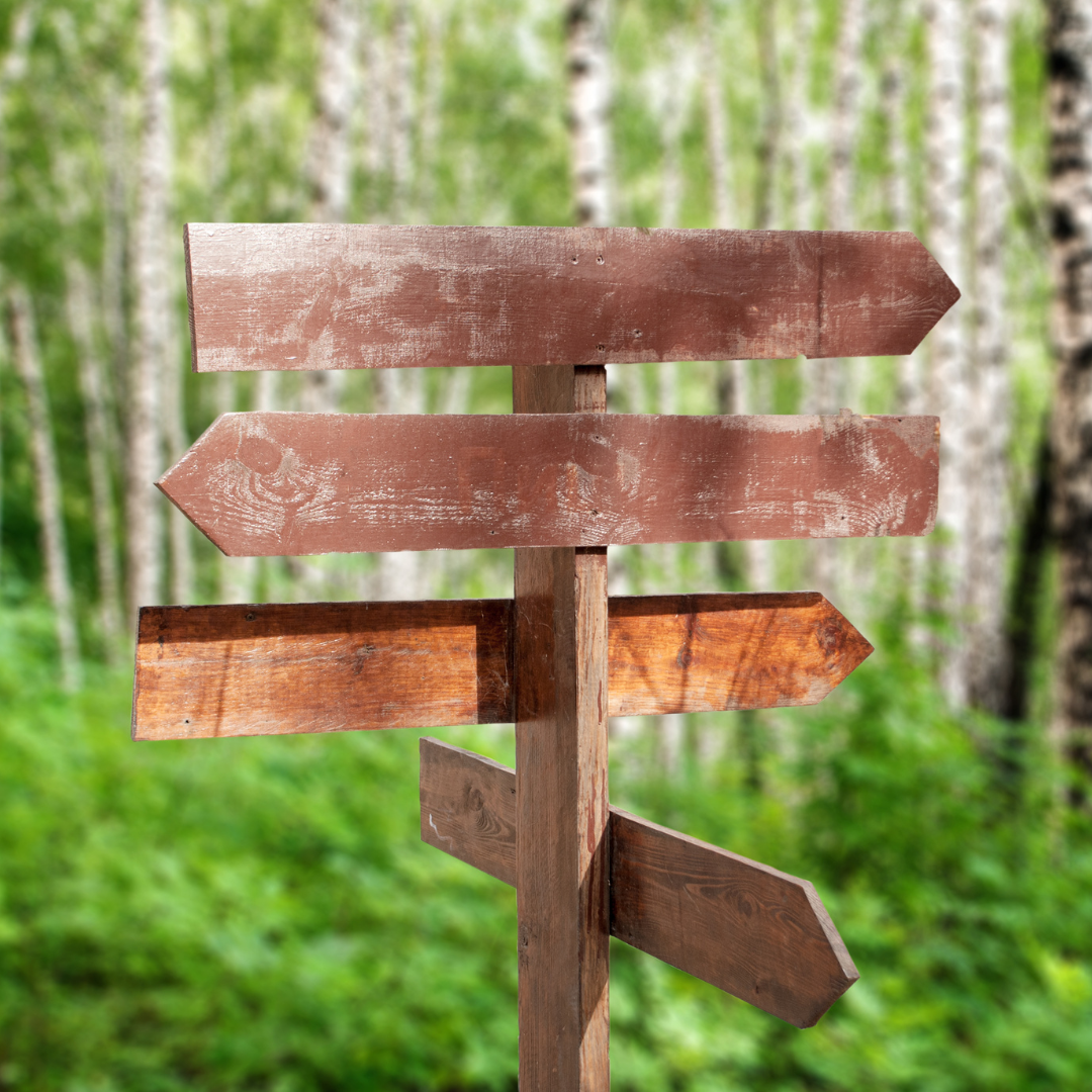 CareerWise Weekly: Accessible learning | Targeted job search | Pandemic ...