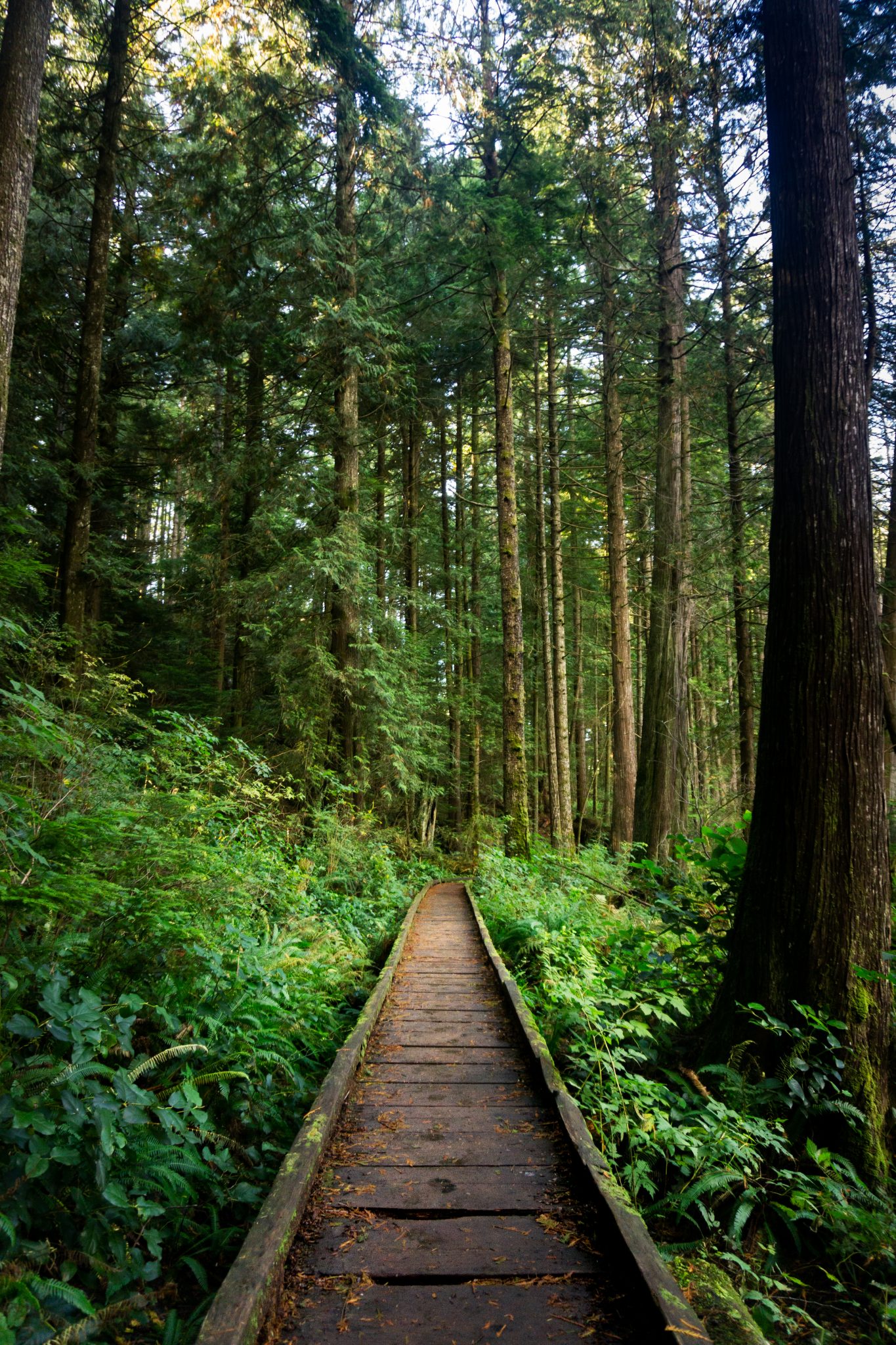 Enhancing Career Conversations with Wayfinding Principles